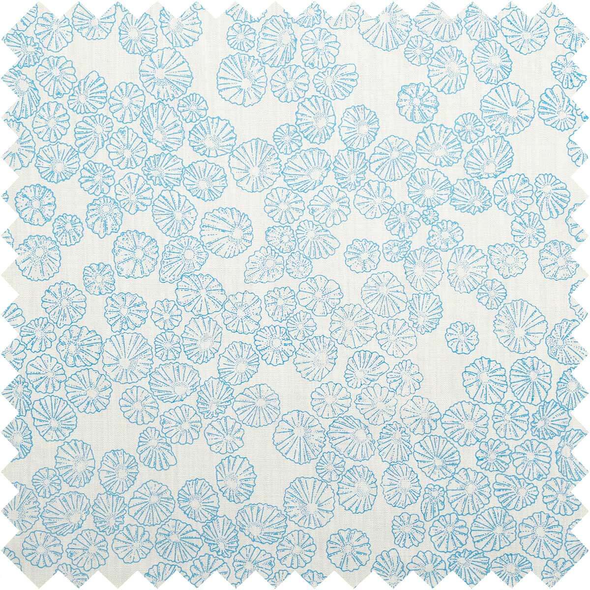 Light Blue Limpet Fabric – Safomasi